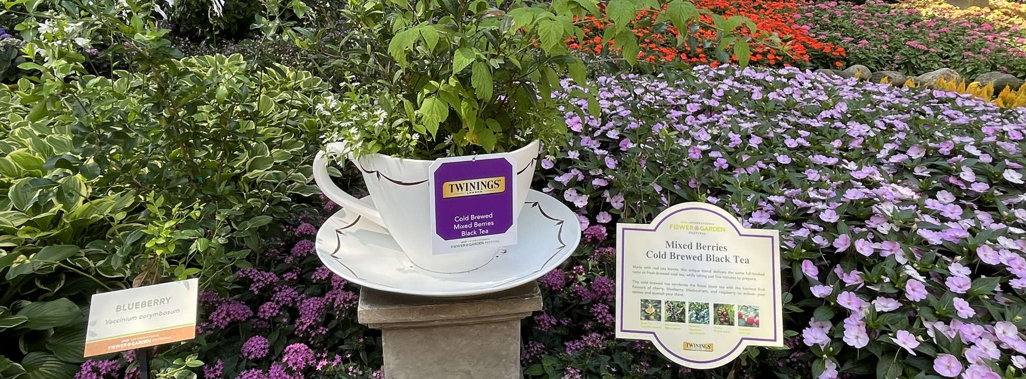 English Tea Garden Tour - Epcot International Flower and Garden ...